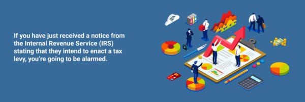 What Assets Can the IRS Legally Seize to Satisfy Tax Debt? - Paladini Law